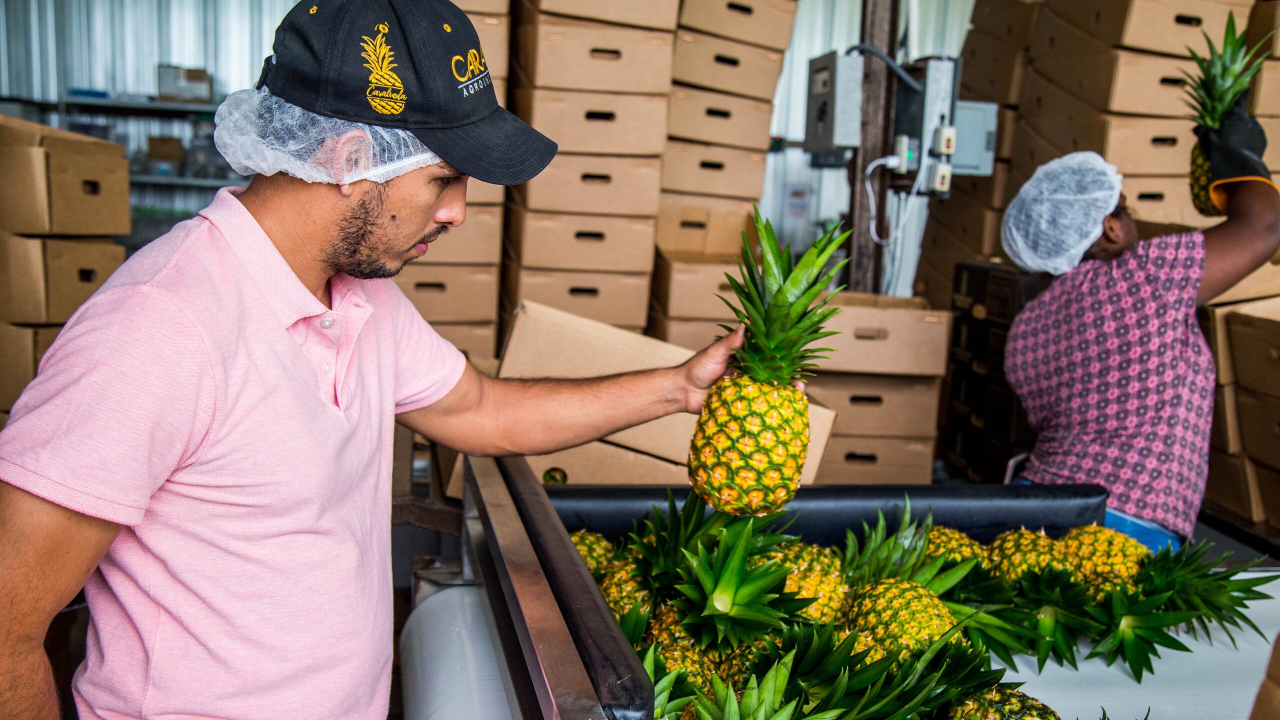 Frutas de Exportación – PHRESH